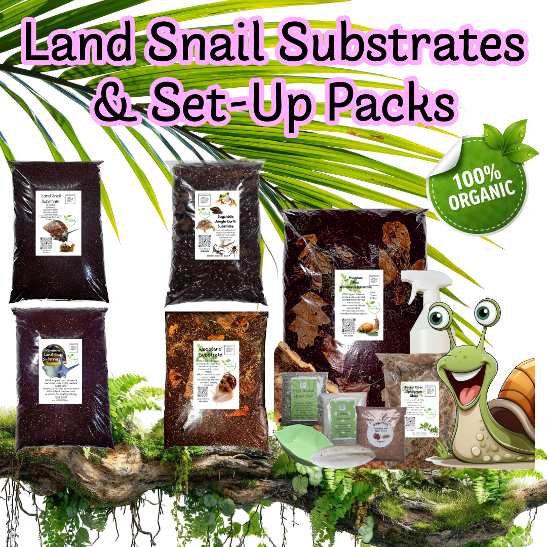 C:- Snail Substrates & Set-up Packs – Bugznbits