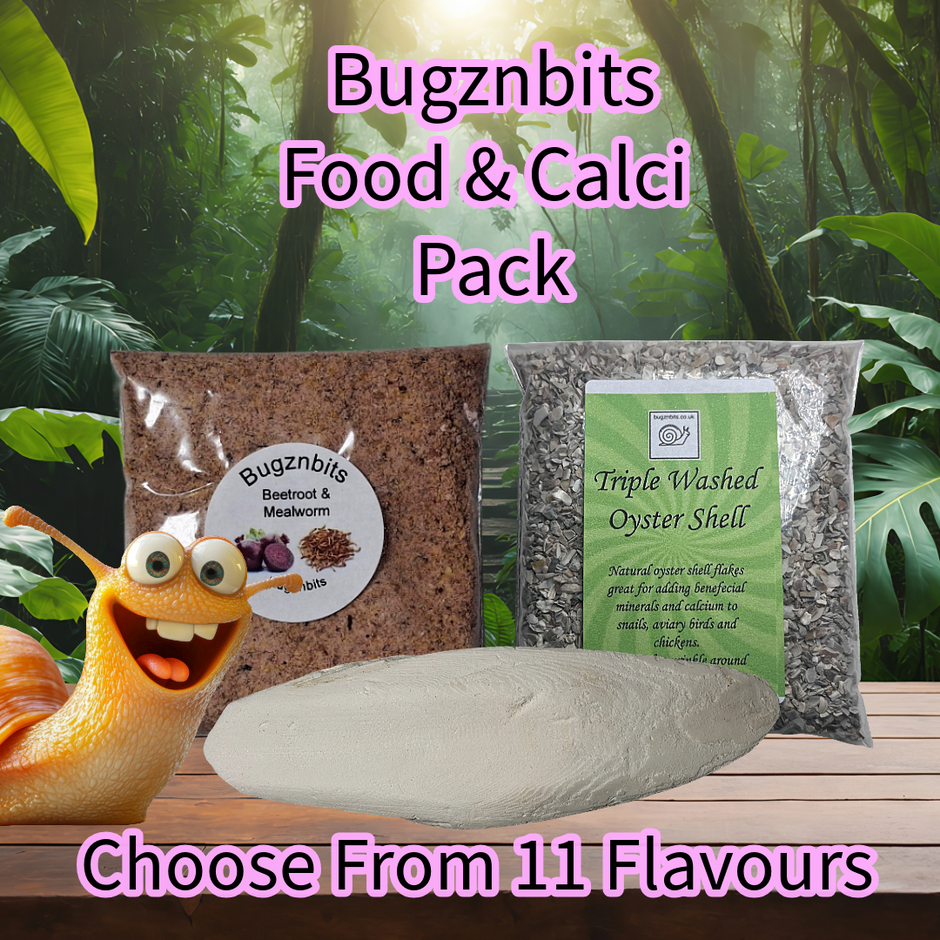 B:- Snail Foods – Bugznbits