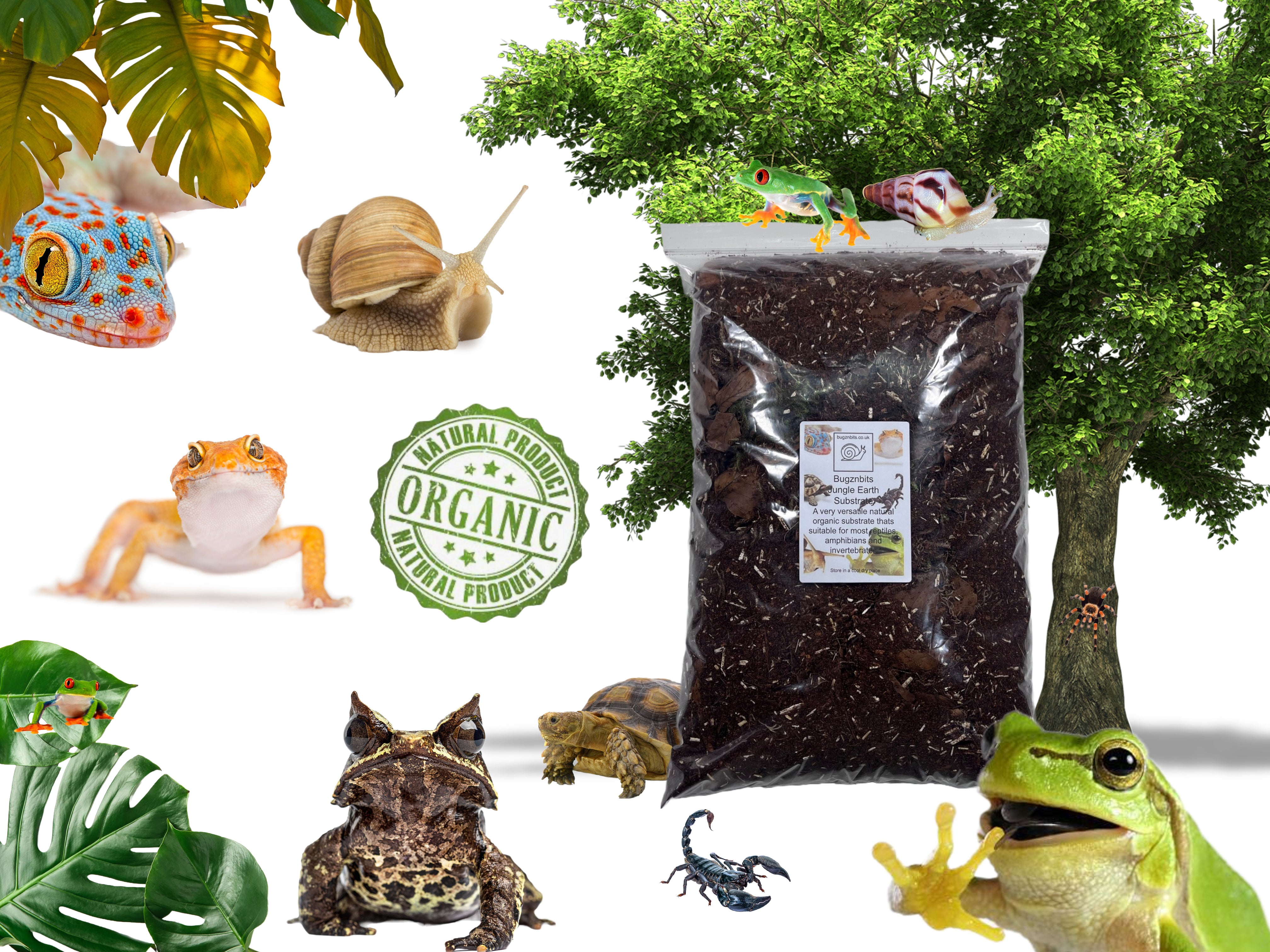 Bugznbits Jungle Earth Substrate, Our Most Versatile Substrate, Snails